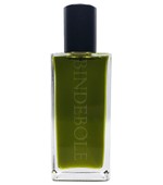 Pine Tree perfume ingredient, Pine Tree fragrance and essential oils ...