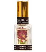 Clay perfume ingredient, Clay fragrance and essential oils