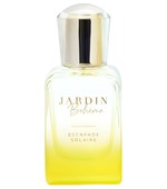 Acacia perfume ingredient, Acacia fragrance and essential oils Acacia ...