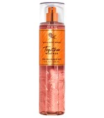 Cedar perfume ingredient, Cedar fragrance and essential oils Cedrus ...