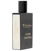 Perfumer CPL Aromas Dubai Kevin Mathys