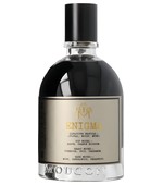 Agave perfume ingredient, Agave fragrance and essential oils Agave ...