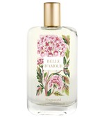 Angelica perfume ingredient, Angelica fragrance and essential oils ...