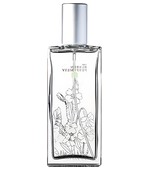 Fennel perfume ingredient, Fennel fragrance and essential oils ...