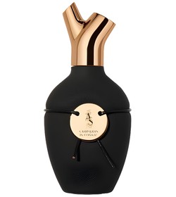 Spectre Wraith French Avenue cologne - a new fragrance for men 2024