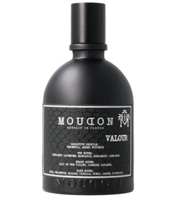 Wisdom Moudon perfume - a fragrance for women and men 2024