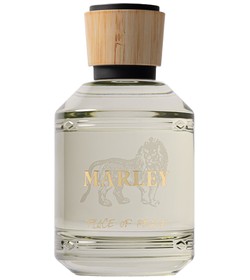 Agave perfume ingredient, Agave fragrance and essential oils Agave ...