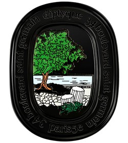 Hawas Tropical Rasasi cologne - a new fragrance for men 2025