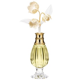 Lucky Esprit De Parfum Dior perfume - a new fragrance for women and men ...