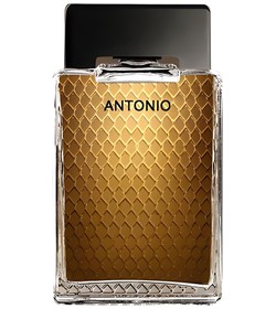 Titanium Gisada cologne - a new fragrance for men 2024