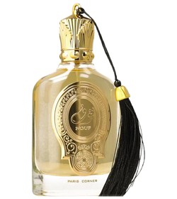 Nitro Platinum Dumont cologne - a new fragrance for men 2024