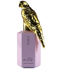 Tutù Gritti perfume - a fragrance for women 2019