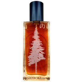 Oud Candy BORNTOSTANDOUT® perfume - a new fragrance for women and men 2025
