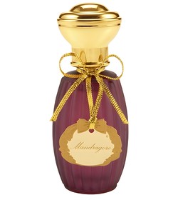 Cedrus Intense Chloé perfume - a new fragrance for women 2025