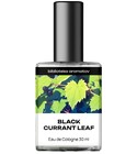 Milk Oolong biblioteka aromatov perfume - a fragrância Compartilhável