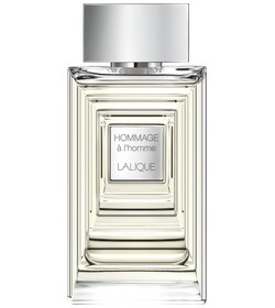 Loewe 7 Elixir Loewe cologne - a new fragrance for men 2024