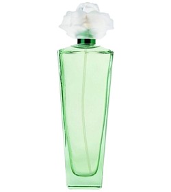 Moringa The Body Shop perfume - a fragrance for women and men 2012