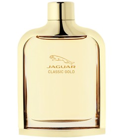 Sun Java for Men Franck Olivier cologne - a fragrance for men 2005