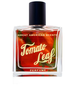 Tomato perfume ingredient, Tomato fragrance and essential oils Solanum ...