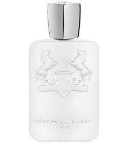 Caballo Pour Homme Armaf cologne - a fragrance for men 2022