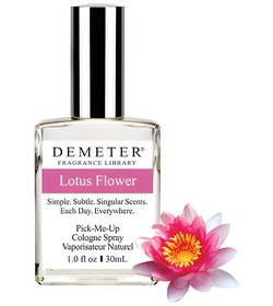 Lotus perfume ingredient, Lotus fragrance and essential oils Nelumbo ...