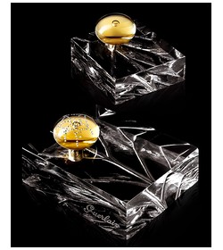 Place Rouge Guerlain parfem - parfem za žene 2013