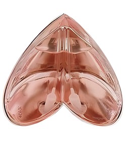 My Queen Alexander McQueen perfumy - to perfumy dla kobiet 2005