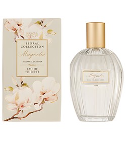Magnolia perfume ingredient, Magnolia fragrance and essential oils ...