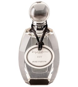 Attache Signature Fragrances Colonia - una fragancia para Hombres 2014