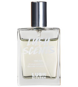 Chelsea Morning Lush perfume - a new fragrance for women and men 2024