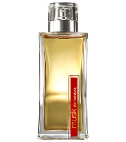Arom Absolute Yanbal Colonia - una fragancia para Hombres