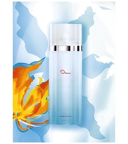 Silver Light Linn Young perfume - a fragrance for women