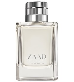 Pulse Power Eudora Colônia - a novo fragrância Masculino 2025