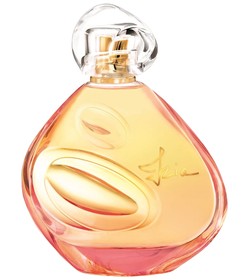 Rose Roche Diptyque perfume - a new fragrance for women and men 2024