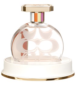 Coach Blue Coach cologne - a fragrance for men 2020