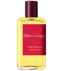 Devotion Pour Homme Dolce&Gabbana Colonia - una nuevo fragancia para ...
