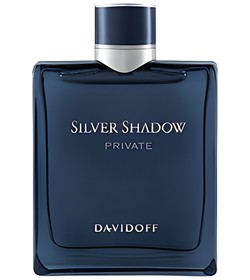 Silver Shadow Davidoff Colônia - a fragrância Masculino 2005