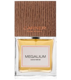 Chelsea Morning Lush perfume - a new fragrance for women and men 2024