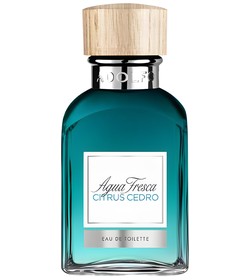 Vibrant Leather Summer Breeze Zara cologne - a new fragrance for men 2025