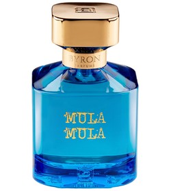 Red Line 2654 City Rhythm perfume - a new fragrance for women and men 2024