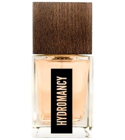 Lichen perfume ingredient, Lichen fragrance and essential oils