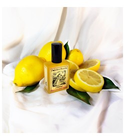 Chelsea Morning Lush perfume - a new fragrance for women and men 2024