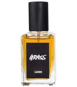 Marc Jacobs Splash Grass Marc Jacobs perfumy - to perfumy dla kobiet 2006