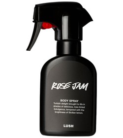 Karma Lush perfume - a fragrance for women and men 1995