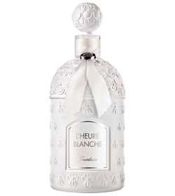 Cotton Hug Forment perfume - a fragrance for women and men 2022