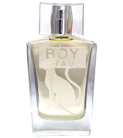 Superman House Of Sillage cologne - a new fragrance for men 2025