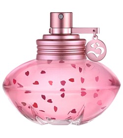 Cé Lumière Beyoncé perfume - a new fragrance for women 2024