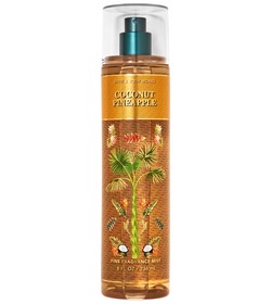 Coco Shimmy Snif perfume - a new fragrance for women and men 2024