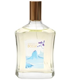 Aquatica Rayhaan cologne - a new fragrance for men 2025