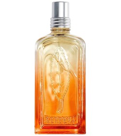 Creatively Shanghai Zara fragancia - una fragancia para Hombres y ...
